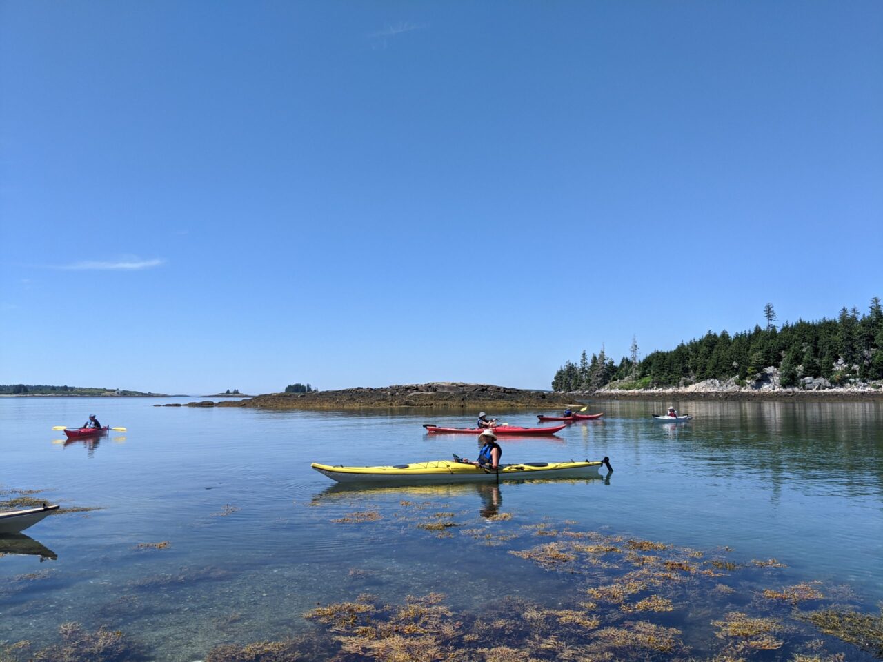 Port Clyde Kayaks – EVERY TRIP LEADS YOU ON A DIFFERENT ADVENTURE.